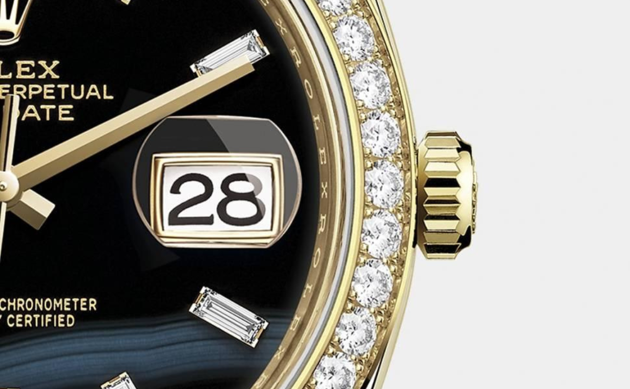 Your Comprehensive Guide to Watch Casebacks