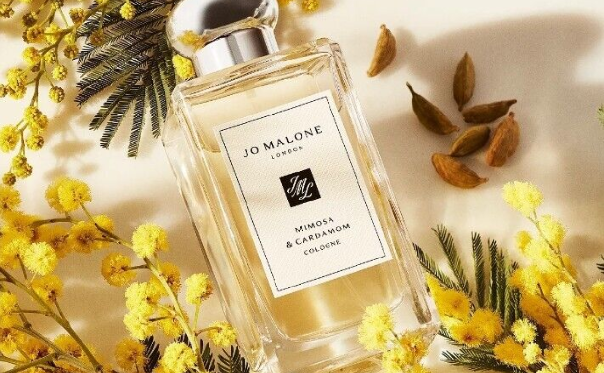 The Art of Cardamom: Best Fragrances with a Spicy Twist