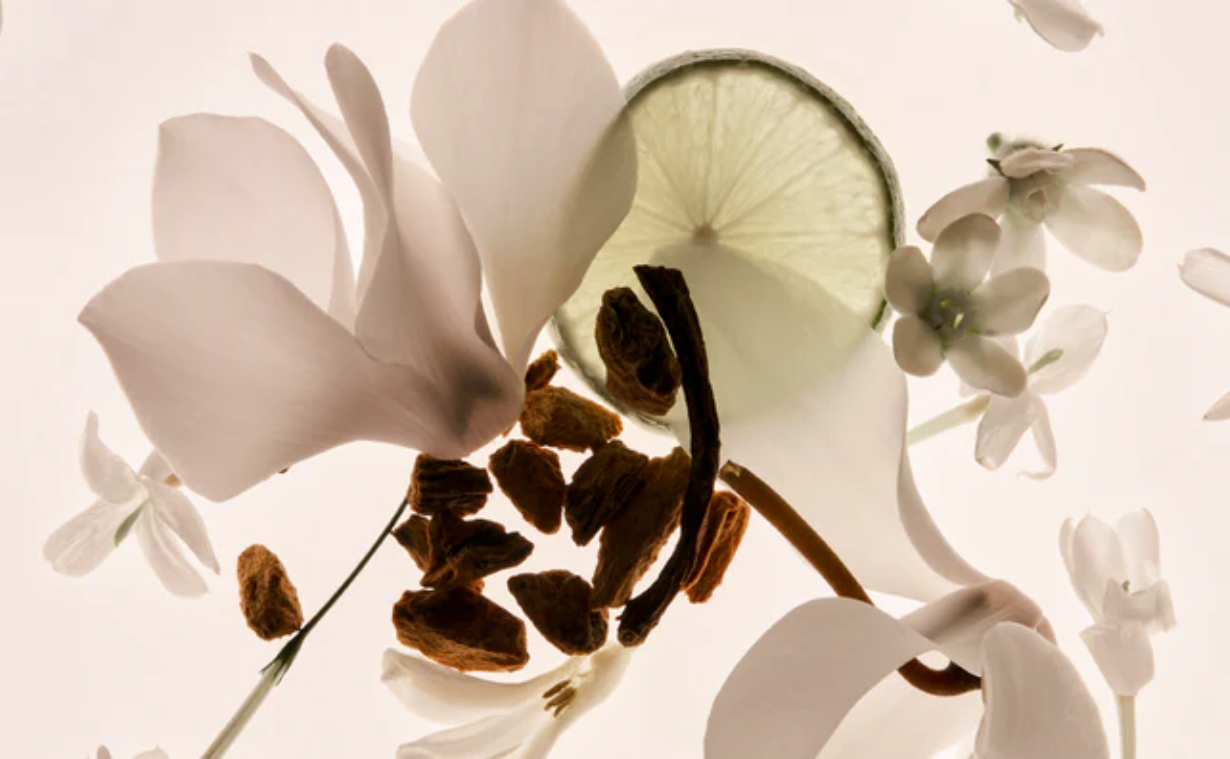 What is a Chypre Note in Fragrances?