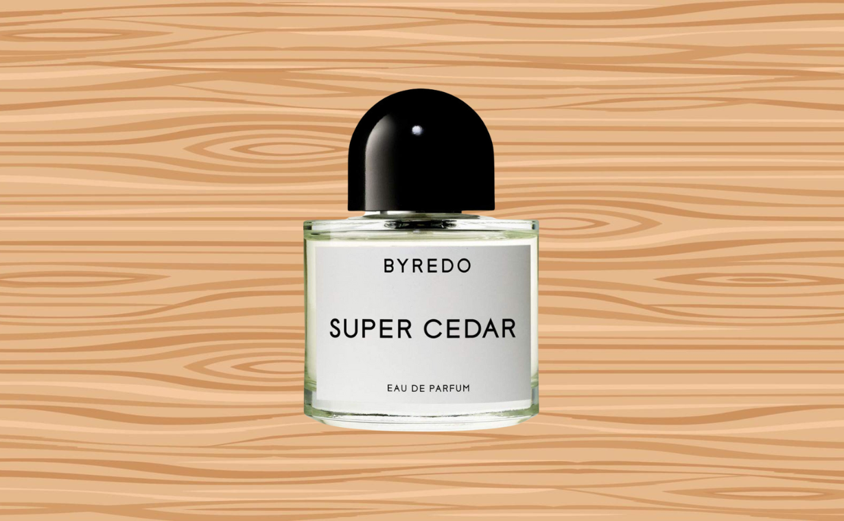 Woodland Dreams: The Best Cedarwood Fragrances to Add to Your Collection