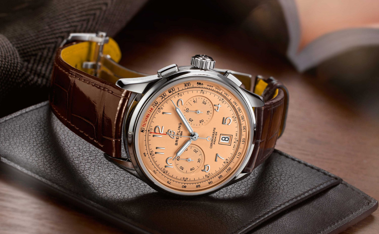 Your Comprehensive Guide to Watch Casebacks