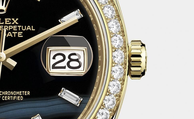 Your Comprehensive Guide to Watch Casebacks