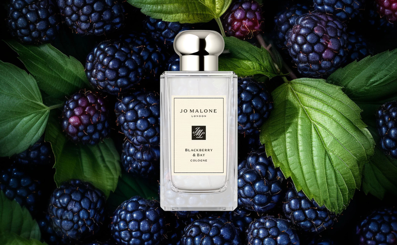 A Burst of Berry: Discover the Best Blackberry Scents for Every Season