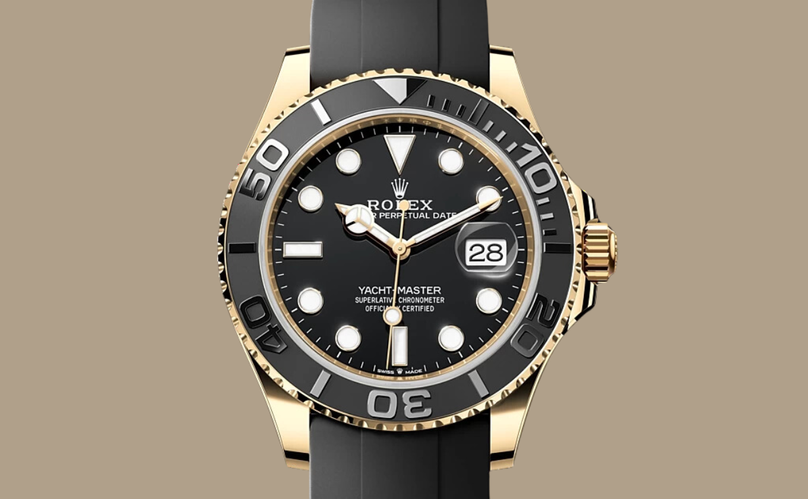 Your Comprehensive Guide to Watch Casebacks